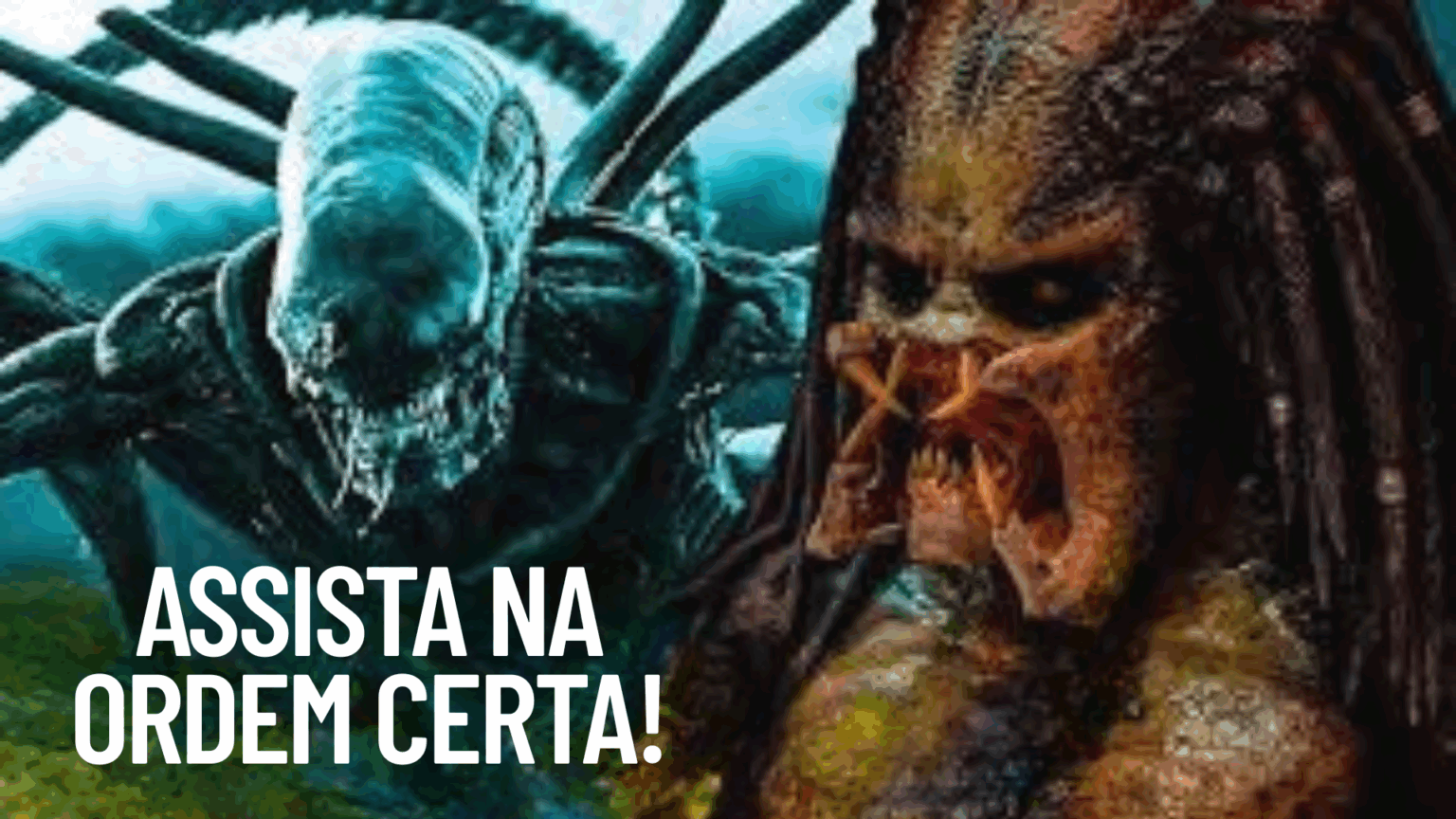 Alien vs Predador: A Ordem Certa para Assistir a Saga Completa de ...